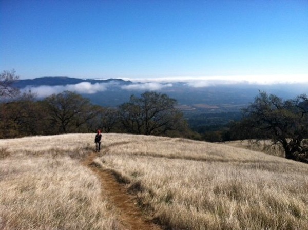 hike sonoma mountain